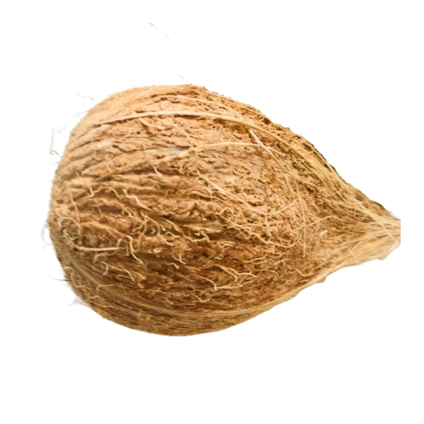 Fresh Coconuts for Pooja | Sacred Offering for Hindu Rituals