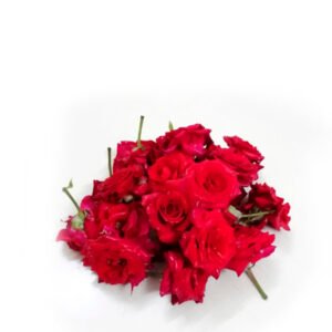 Buy Mirabel Rose Flowers – 250gms Online | Fresh Roses for Pooja ...