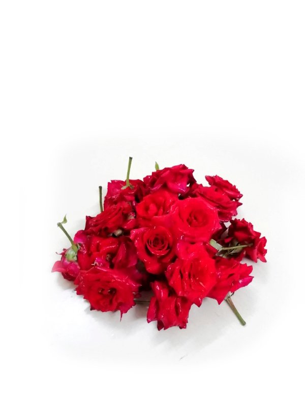 Buy Mirabel Rose Flowers – 250gms Online | Fresh Roses for Pooja ...